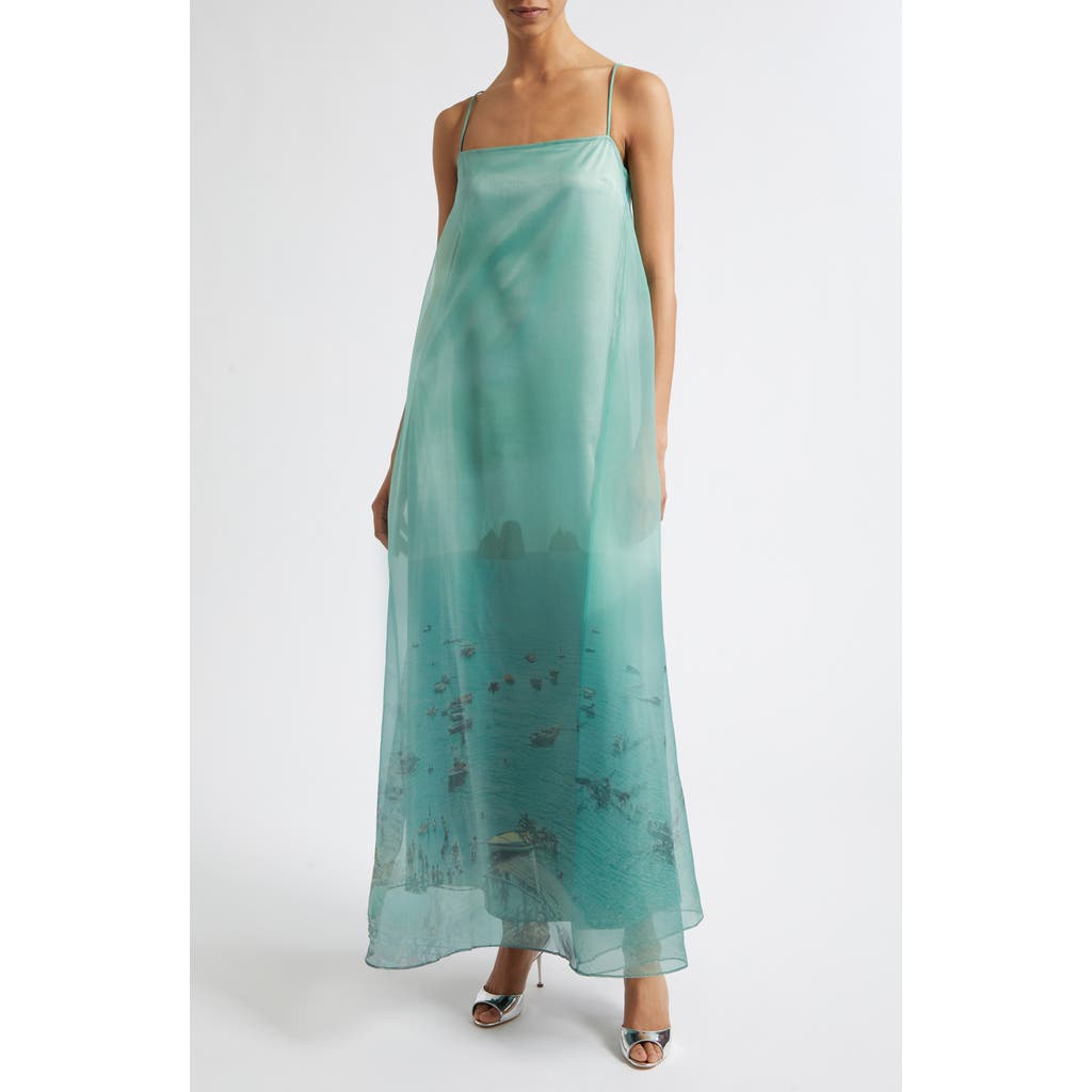 STAUD STAUD Delfina Print Organza Maxi Dress